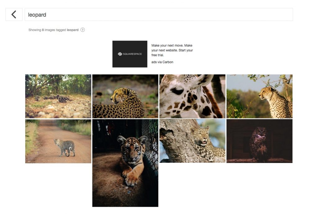 How to Find Free Images to Use on Your Website Legally - Undullify